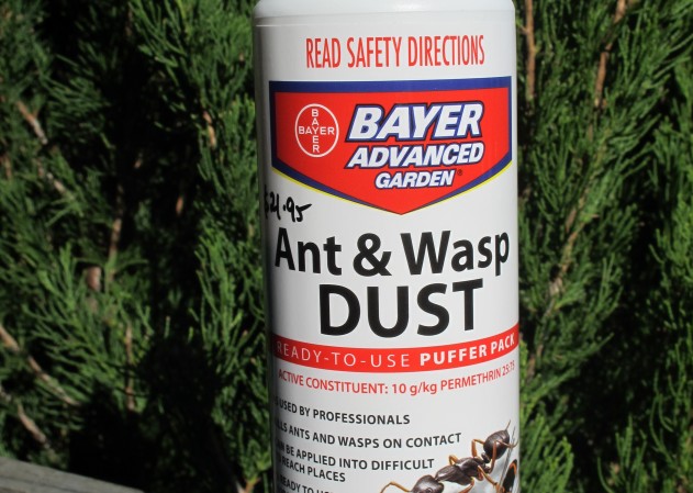 Category Archive for "Latest News" | Allans Garden Centre Prospect ...